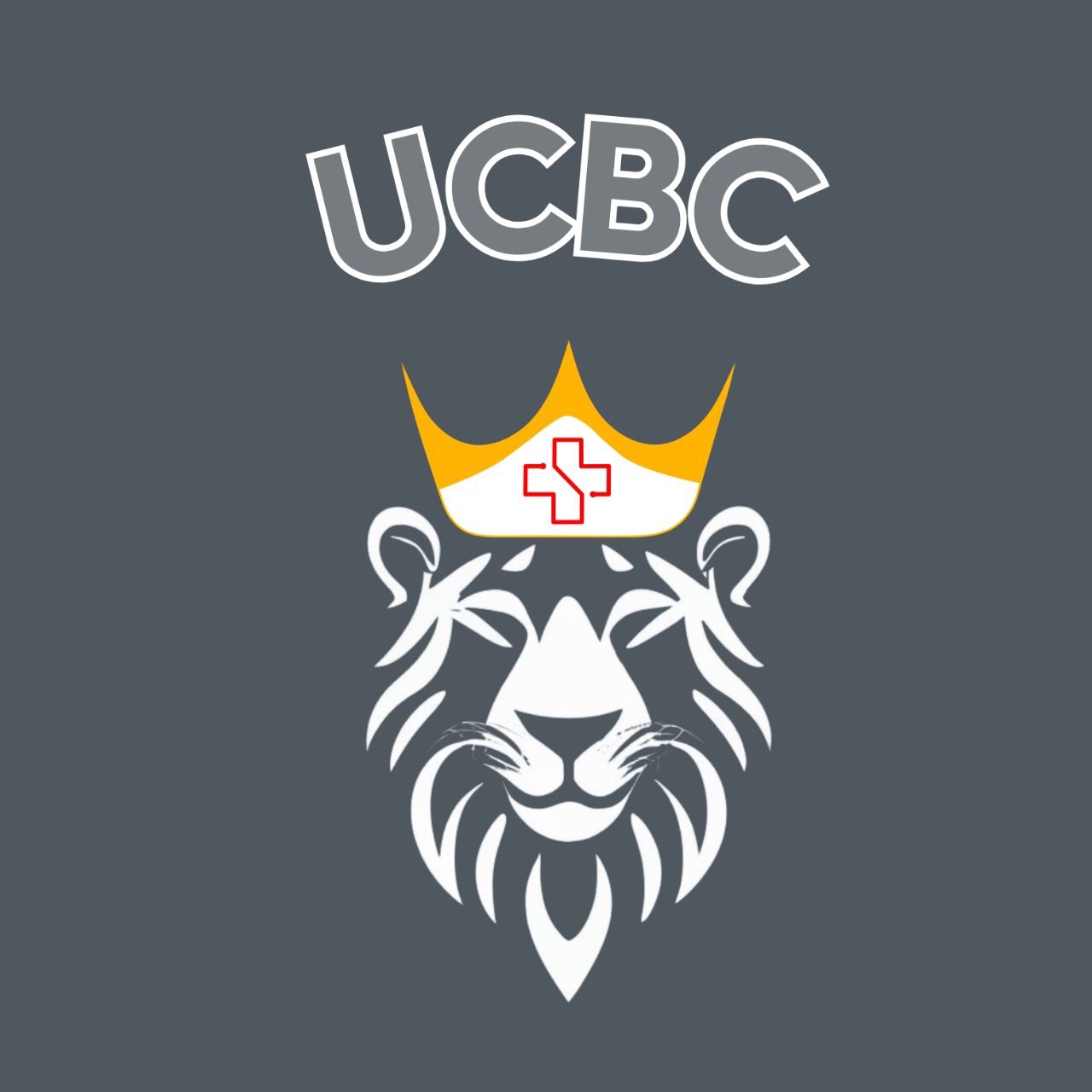 WORLD TELEPORT: A Modern Platform for Entering the Africa and ECOWAS ...